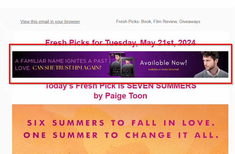Newsletter Banner Advertising – Store Fresh Fiction